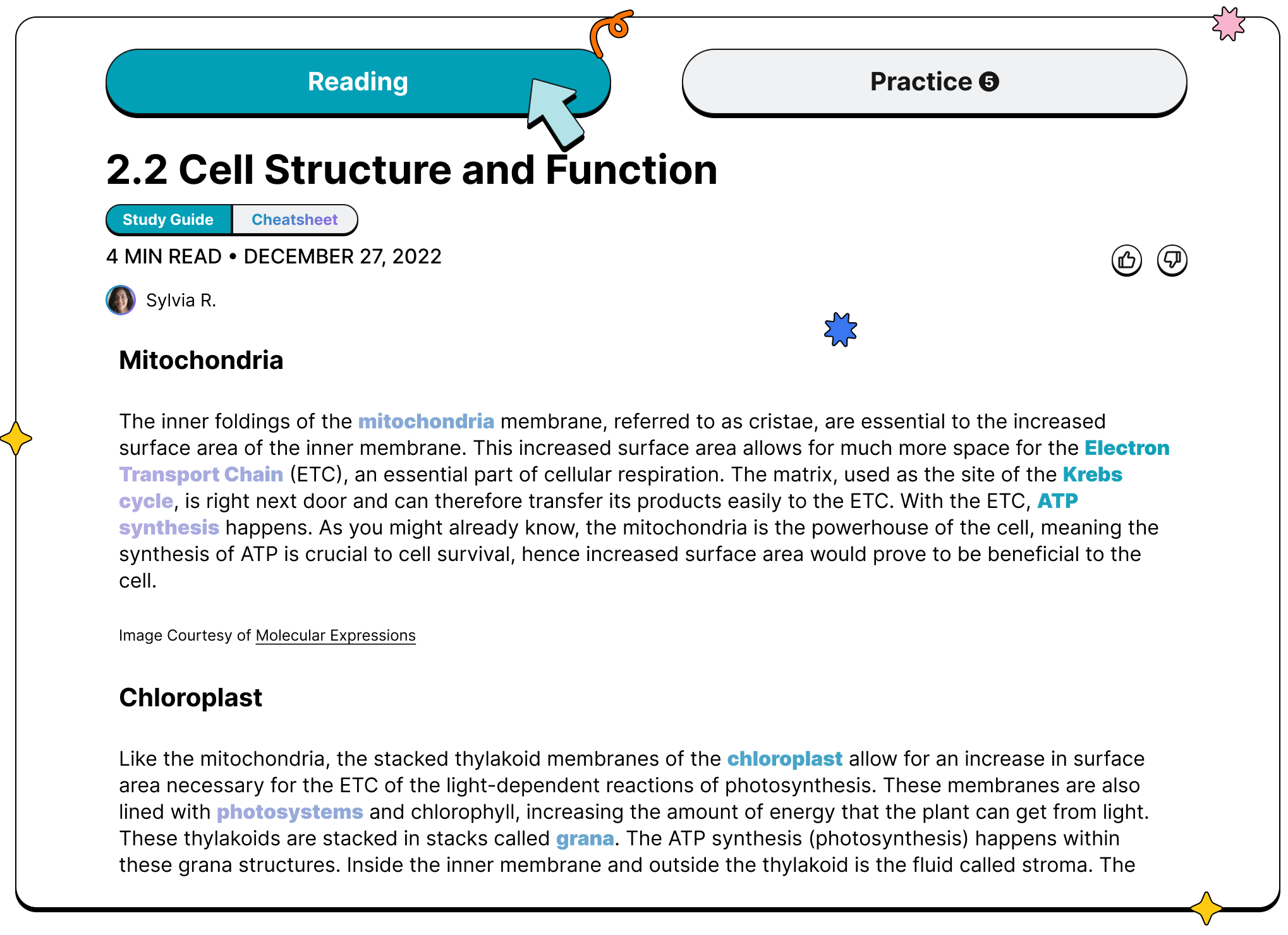 Fiveable 2024 AP Review Study Guides Cheatsheets Practice Questions